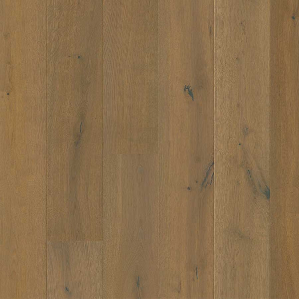 Nature’s Oak Denali Timber Flooring – European Oak Floors | Rugs N ...